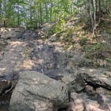 Fore River Sanctuary White Trail, Maine - 1,462 Reviews, Map | AllTrails
