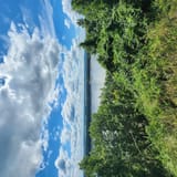 Bee Tree Lake Loop, Missouri - 546 Reviews, Map | AllTrails