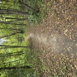 Kinder Farm Park Trail, Maryland - 1,238 Reviews, Map | AllTrails