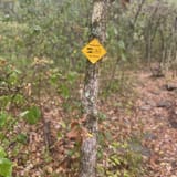 Stephens Gap Cave Trail, Alabama - 405 Reviews, Map | AllTrails