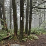 Mount Buckley via Kuwohi Bypass Trail, North Carolina - 1,235 Reviews ...