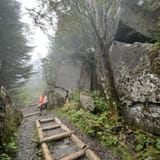 Mount Buckley via Kuwohi Bypass Trail, North Carolina - 1,235 Reviews ...