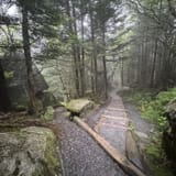 Mount Buckley via Kuwohi Bypass Trail, North Carolina - 1,235 Reviews ...