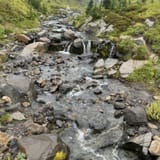 Myrtle Falls Viewpoint via Skyline Trail, Washington - 4,964 Reviews ...