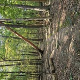 Black Rock via the Appalachian Trail, Maryland - 1,899 Reviews, Map ...