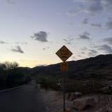 Mormon Loop and National Trail, Arizona - 2,555 Reviews, Map | AllTrails