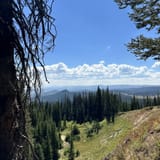 Rabbit Ears Peak Trail, Colorado - 2,046 Reviews, Map | AllTrails