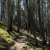 Timber Lake Trail, Colorado - 711 Reviews, Map | AllTrails
