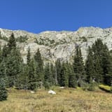 Timber Lake Trail, Colorado - 711 Reviews, Map | AllTrails