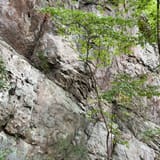 Sunset Rock via Craven's House Trail, Tennessee - 1,982 Reviews, Map ...