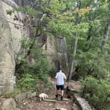 Sunset Rock via Craven's House Trail, Tennessee - 1,982 Reviews, Map ...