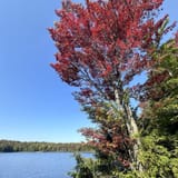 Grout Pond Trail, Vermont - 296 Reviews, Map | AllTrails