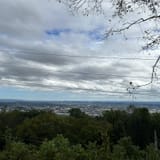 Sunset Rock via Craven's House Trail, Tennessee - 1,982 Reviews, Map ...