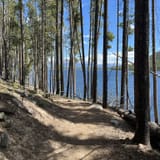 Turquoise Lake Trail # 1493, Colorado - 967 Reviews, Map | AllTrails