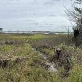 Cedar Point Tideland Trail, North Carolina - 773 Reviews, Map | AllTrails