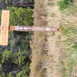 Wigwam Trail 609, Colorado - 448 Reviews, Map | AllTrails