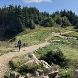 Middle Head Trail, Nova Scotia, Canada - 1,798 Reviews, Map | AllTrails