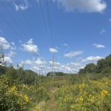 Barber Reservation Loop, Massachusetts - 137 Reviews, Map | AllTrails