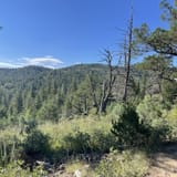 Grindstone Canyon Loop, New Mexico - 1,735 Reviews, Map | AllTrails