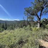 Grindstone Canyon Loop, New Mexico - 1,735 Reviews, Map | AllTrails