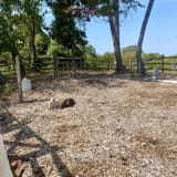 Kinder Farm Park Trail, Maryland - 1,238 Reviews, Map | AllTrails