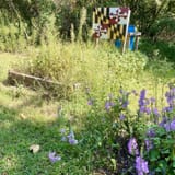 Kinder Farm Park Trail, Maryland - 1,256 Reviews, Map | AllTrails