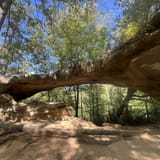 Princess Arch Trail, Kentucky - 1,534 Reviews, Map | AllTrails