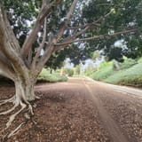 Fullerton Loop, California - 4,233 Reviews, Map | AllTrails