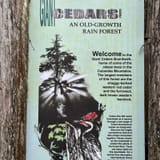 Giant Cedars Boardwalk Trail, British Columbia, Canada - 412 Reviews ...