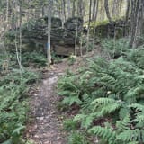 Canyon Vista Trail, Pennsylvania - 893 Reviews, Map | AllTrails
