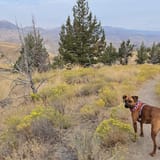Blue Basin Overlook Loop, Oregon - 459 Reviews, Map | AllTrails