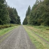 Tolt Pipeline Trail, Washington - 353 Reviews, Map | AllTrails