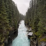 Numa Falls, British Columbia, Canada - 352 Reviews, Map | AllTrails