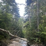Mount Jackson and Mount Webster Trail Loop, New Hampshire - 2,460 ...