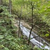Roaring Run Trail, Virginia - 890 Reviews, Map | AllTrails