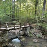 Roaring Run Trail, Virginia - 890 Reviews, Map | AllTrails