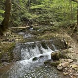 Roaring Run Trail, Virginia - 890 Reviews, Map | AllTrails
