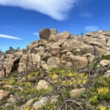 Mount McConnel Trail, Colorado - 581 Reviews, Map | AllTrails