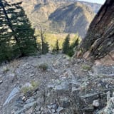 Mount McConnel Trail, Colorado - 581 Reviews, Map | AllTrails