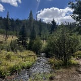 Government Springs 95A, Arizona - 651 Reviews, Map | AllTrails