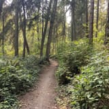Point Defiance Park Outer Loop, Washington - 4,889 Reviews, Map | AllTrails