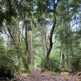 Point Defiance Park Outer Loop, Washington - 4,879 Reviews, Map | AllTrails
