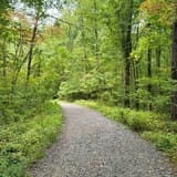 Hard Times Loop, North Carolina - 1,640 Reviews, Map | AllTrails