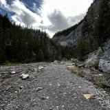Heart Creek Trail, Alberta, Canada - 3,828 Reviews, Map | AllTrails