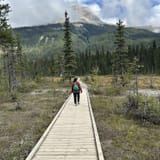 Emerald Lake Loop, British Columbia, Canada - 3,648 Reviews, Map ...