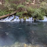 West Metolius River Trail, Oregon - 745 Reviews, Map | AllTrails