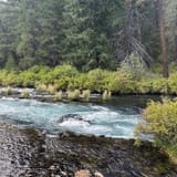 West Metolius River Trail, Oregon - 745 Reviews, Map | AllTrails