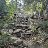 Crane Mountain Loop Hike, New York - 1,493 Reviews, Map | AllTrails