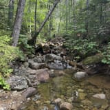 Hancock Notch Trail, New Hampshire - 60 Reviews, Map | AllTrails