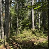 Hancock Notch Trail, New Hampshire - 60 Reviews, Map | AllTrails